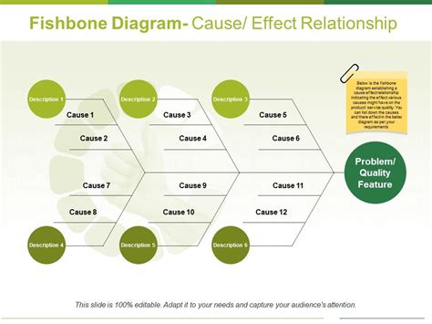 Fishbone Diagram Cause Effect Relationship Ppt PowerPoint Presentation Professional Background
