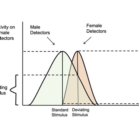 Schematic Illustration Describing Hypothesised Perceptual “detectors