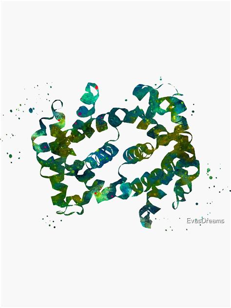 Hemoglobin Protein Structure Of Red Blood Cell Sticker For Sale By