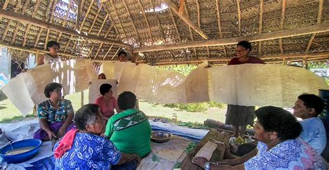 The Organic Island Cicia Suva