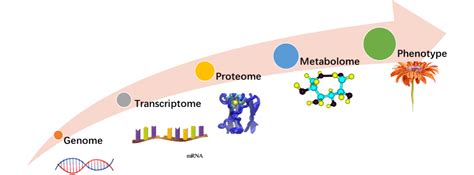 系统生物学中的建模：因果理解先于预测 集智俱乐部