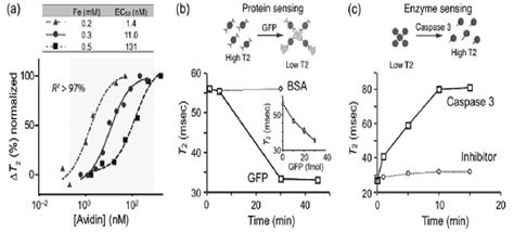dmr detection of proteins and enzyme activities with mrsw sensors