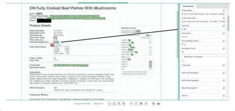 Example Of Automatic Detection And Extraction In A Page By The