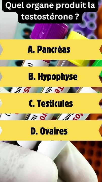 Quel Organe Produit La Testerone Youtube