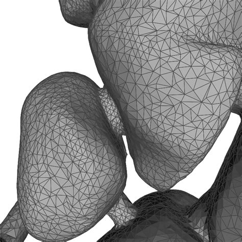 Detailed Views Of Meshing Results Using A Poisson Reconstruction B Download Scientific