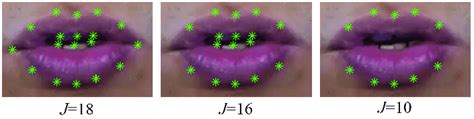 Three Selections Of Lip Landmarks To Construct The Patch Image Based