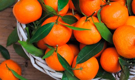 არ გადაყაროთ მანდარინის კანი 6 რჩევა ციტრუსის მოყვარულებს Allnews Ge