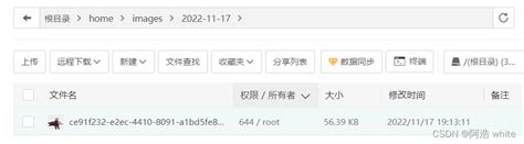 Springboot上传图片到宝塔linux本地上传和跨域上传宝塔添加图片使用url访问 Csdn博客