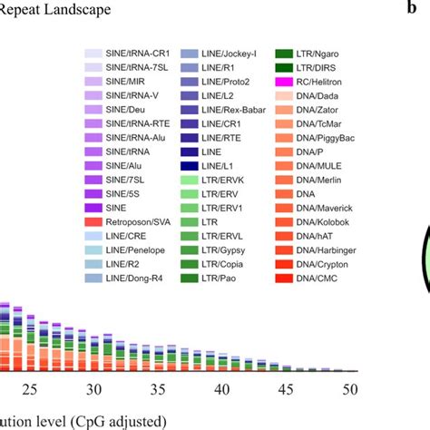 Gene And Repeat Annotations Of The T Ocellatus Genome A Download Scientific Diagram