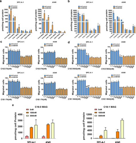 Dysregulated Mag Substrates Underlie The Pathophysiology Of Nsclc A Download Scientific