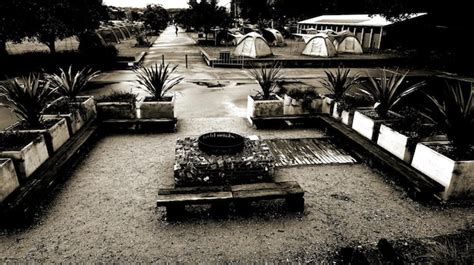 Premium Photo Swimming Pool By Tree