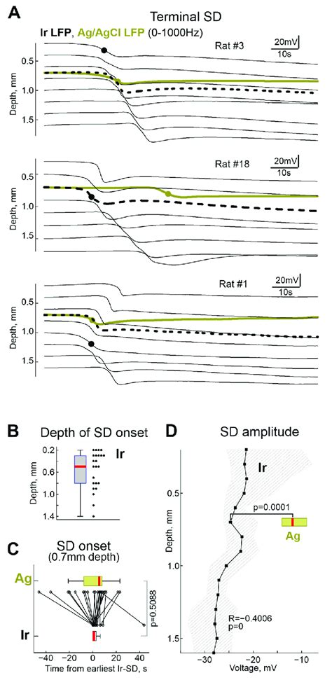 Terminal Spreading Depolarizations A Examples Of Terminal Sd In Download Scientific Diagram