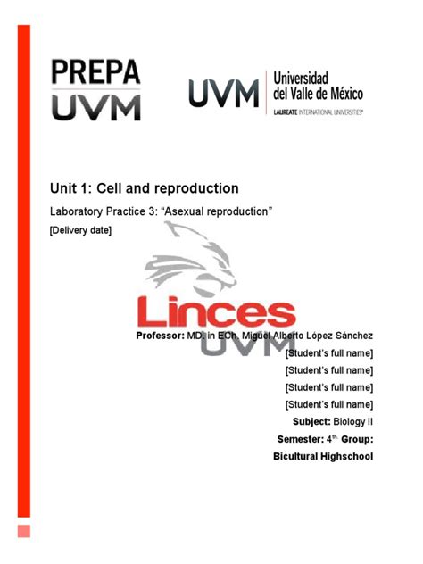 Lab Practice 3 Asexual Reproduction Pdf Reproduction Biology