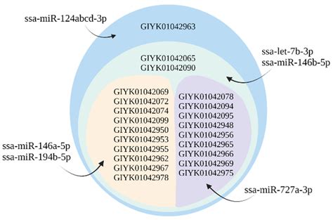 IJMS Free Full Text Differential Expression Of MiRNAs And Their Predicted Target Genes
