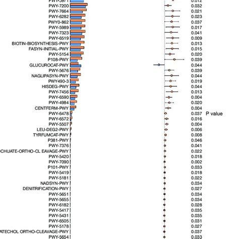 PICRUST2 Prediction Of Functional Alteration Caused By Gut Microbiota Download Scientific