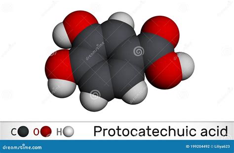 Protocatechuic Acid Pca Green Tea Antioxidant Molecule 3d Rendering