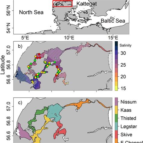 Distance Based Redundancy Analysis Dbrda Plot Visualizing The