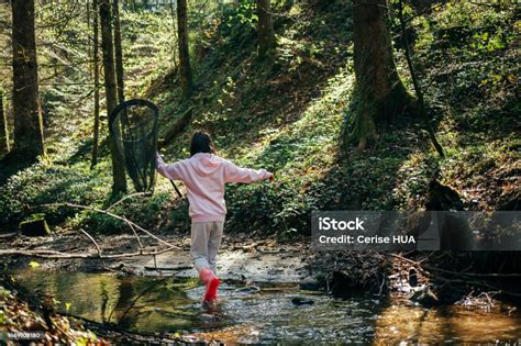 숲 속의 사람 자연을 발견하기 위해 그물로 낚시를 하는 아시아 어린이 분홍색 옷을 입은 한 소녀가 시냇물에서 놀고 있습니다 강에 대한 스톡 사진 및 기타 이미지 Istock