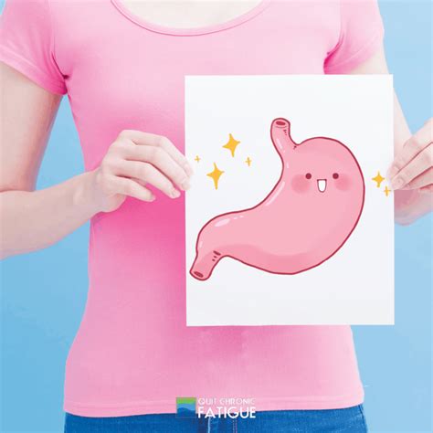 What Is A Microbiome And How Does It Affect Gut Health Artofit