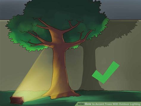 5 Ways To Accent Trees With Outdoor Lighting Outdoor Tree Lighting Outdoor Landscape Lighting