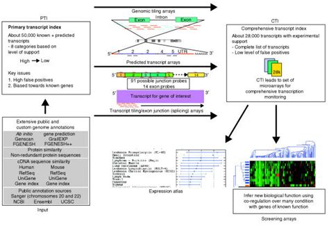A Process To Generate A Comprehensive Transcript Index Cti For The