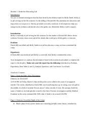 Deductive Reasoning Lab Report Final Docx Module Deductive Reasoning Lab Introduction You