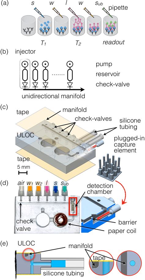 Elisa Assay Steps At Bryan Northern Blog