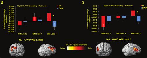 Group Differences In Encoding And Retrieval Processing Strategies Download Scientific Diagram