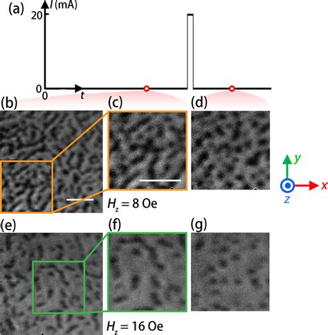 A The Schematic Depiction Of Current Pulses Applied With The Pulse
