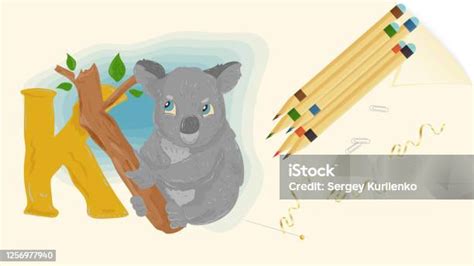 알파벳 문자 K 코알라 곰을 학습하기위한 영어 알파벳의 그림 레이아웃 배너는 색연필이있는 종이 에 곰 0명에 대한 스톡 벡터 아트 및 기타 이미지 Istock