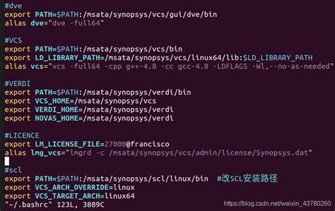 Vcs的各种坑和iverilog的曙光vcs Segmentation Fault Csdn博客