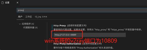 Linux 环境配置 Vscode Copilotlinux Copilot Csdn博客