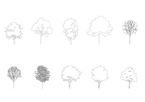 Drawing Trees Architecture At Charlie Skirving Blog