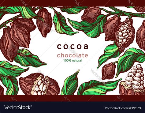 Cocoa Frame Natural Chocolate Template Royalty Free Vector