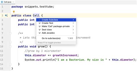 Objects And Classes The Java Track