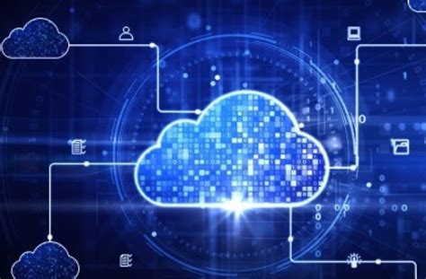 Microalgo Inc Future Trend Analysis