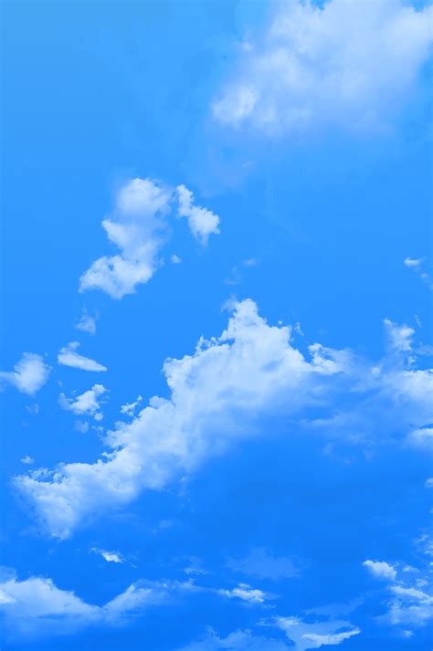 Bluesky Social Seattle Wa