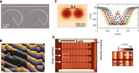 Examples Of 3 Dimensional Nanostructures Obtained By T Spl Using The Download Scientific