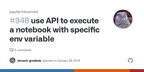 Use Api To Execute A Notebook With Specific Env Variable · Issue 948