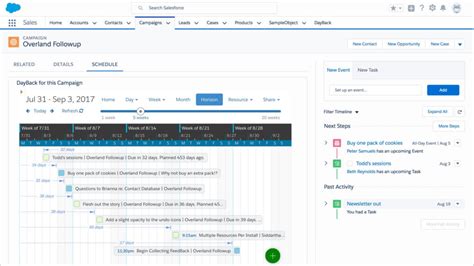 Custom Calendar Tabs In Salesforce Lightning Dayback