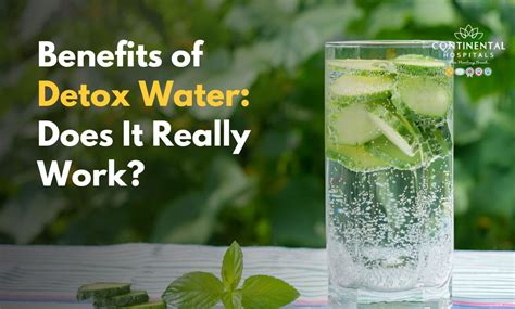 Importance Of Hydration For Brain Function