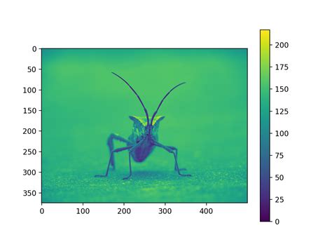 图像教程 — Matplotlib 3103 文档 Matplotlib 绘图库