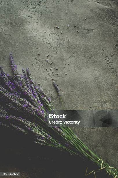 소박한 어두운 배경에 라벤더 꽃 부케 수 면 문제를 처리 합니다 0명에 대한 스톡 사진 및 기타 이미지 0명 건강관리와 의술 건강한 생활방식 Istock