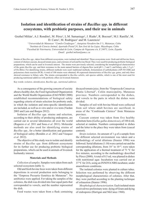 Pdf Isolation And Identification Of Strains Of Bacillus Spp In