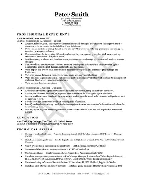 Database Administrator Resume Example