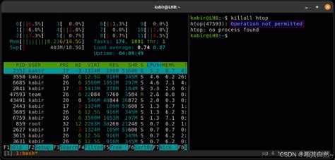Linux命令 Kill、pkill 和 Killallpkill和kill Csdn博客
