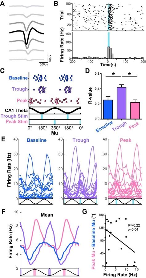 Phase Specific Manipulations Alter The Phase Preference Of