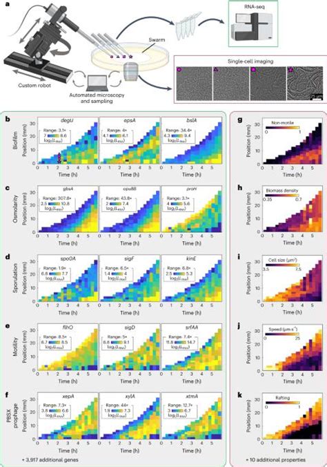 Yannick Ramage On Linkedin Simultaneous Spatiotemporal Transcriptomics