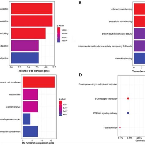 Go And Kegg Enrichment Analyses In Co Expression Genes Associated With