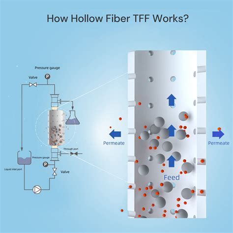 Ultrafiltration Lab Hollow Fiber Filter Tff Mpes Membrane Cobetter
